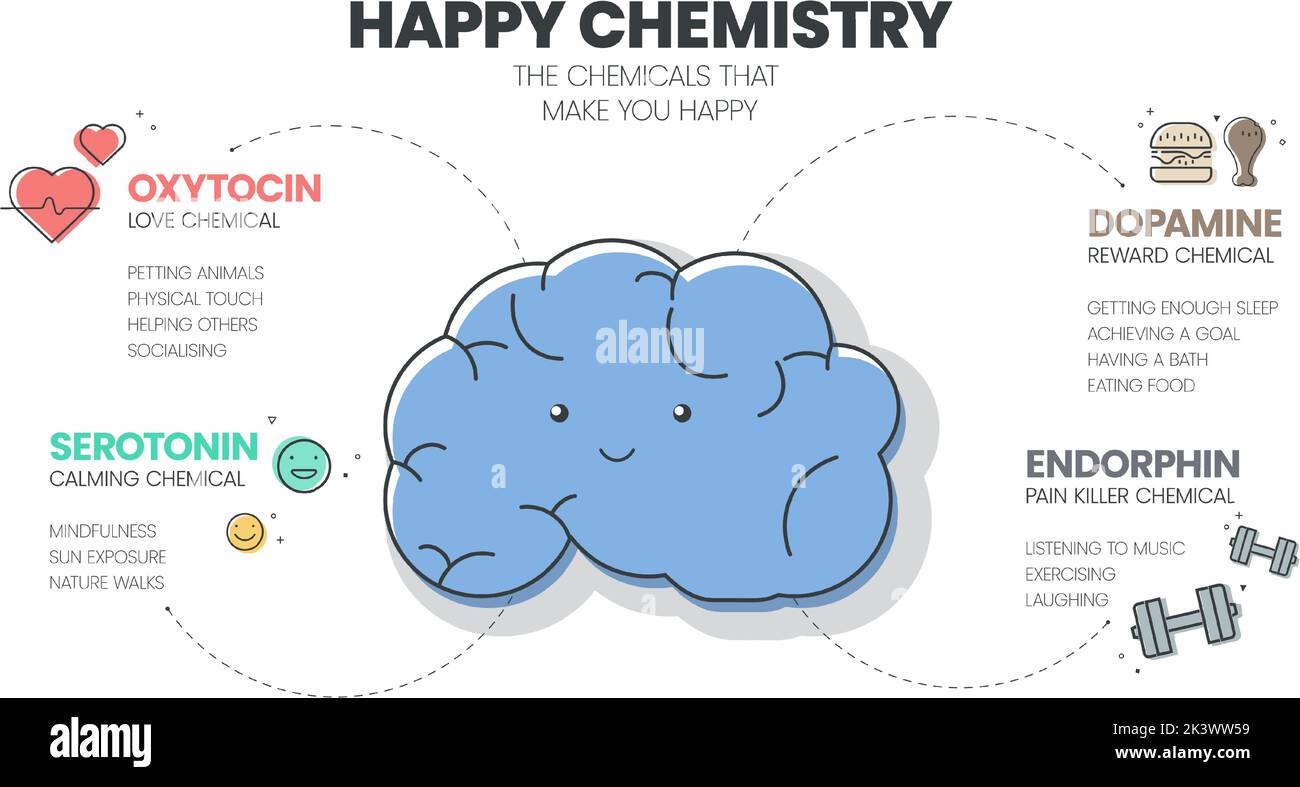 Infographie chimie Banque d'images vectorielles - Alamy