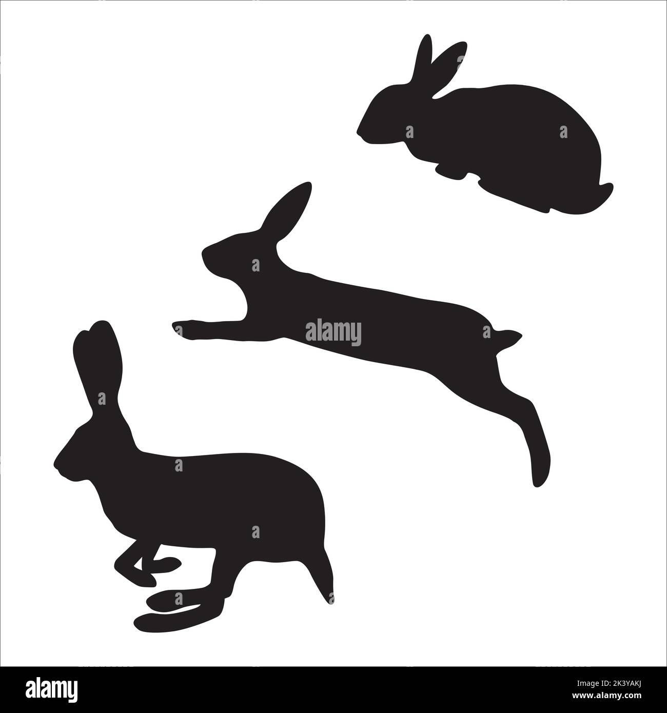 Ensemble vectoriel de lapins Silhouettes d'animaux Illustration isolée ...