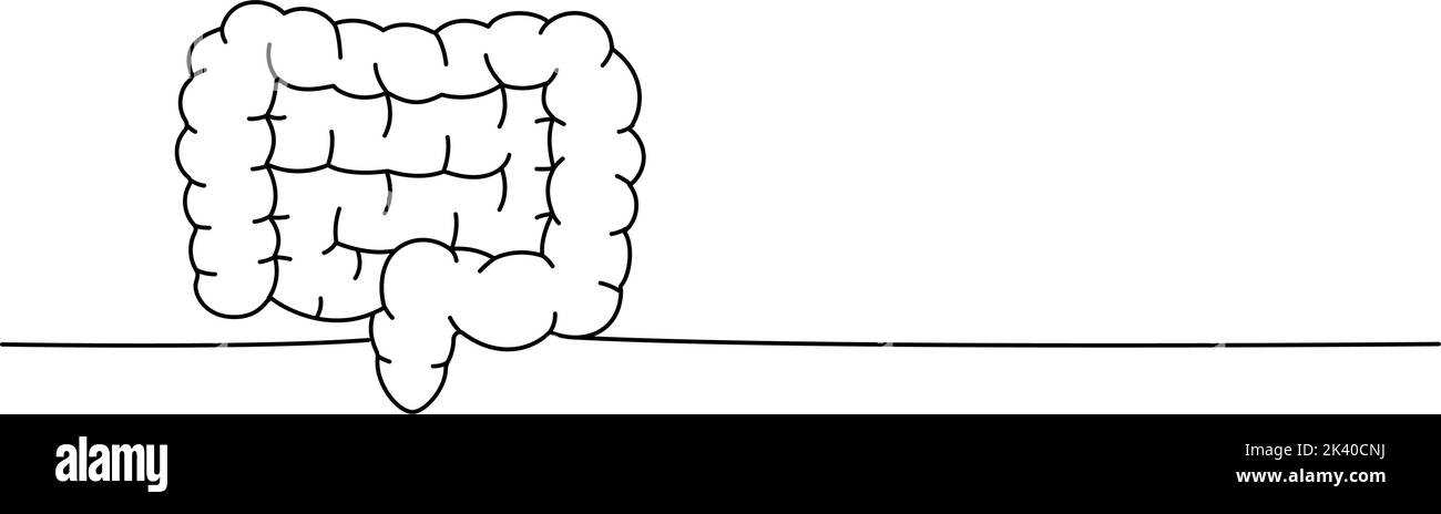 Intestin humain dessin continu d'une ligne. Illustration continue d'une ... Intestin humain dessin continu d'une ligne. Illustration continue d'une ...