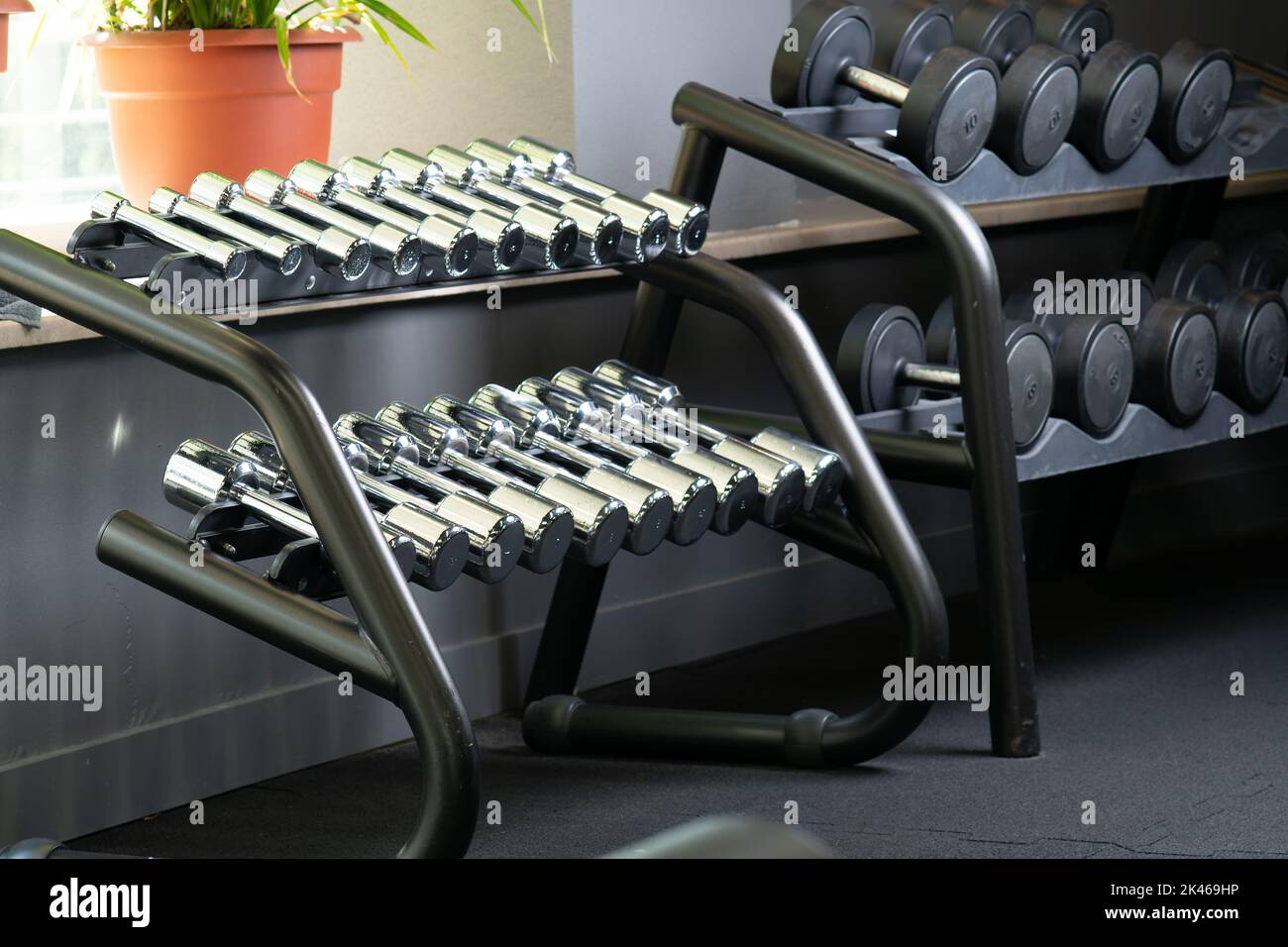 Fitness gym musculation santé Banque de photographies et d’images à ...