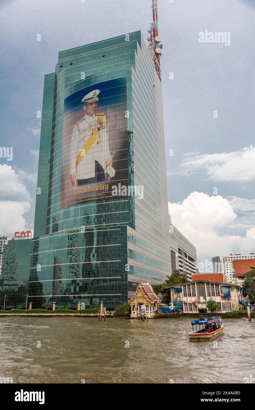 Chat de bangkok Banque de photographies et d’images à haute résolution - Alamy