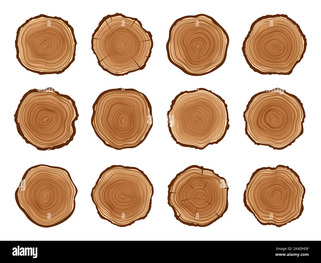 Troncs d'arbres, souches coupées en bois avec cercles annuels, sections ...