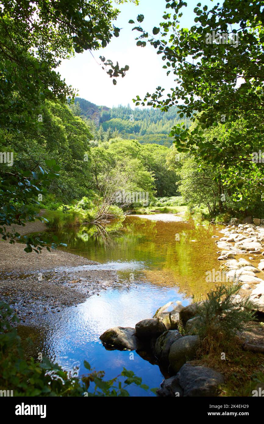 Forêt majestueuse cascade d'eau ronde de Powerscourt Waterfall, la plus ...