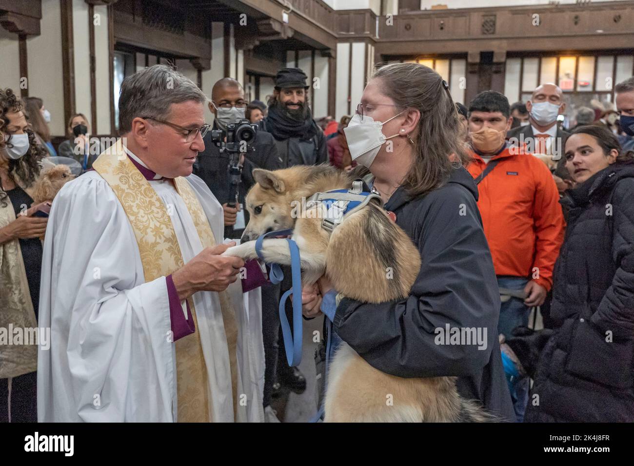 Patrick malloy Banque de photographies et d’images à haute résolution ...