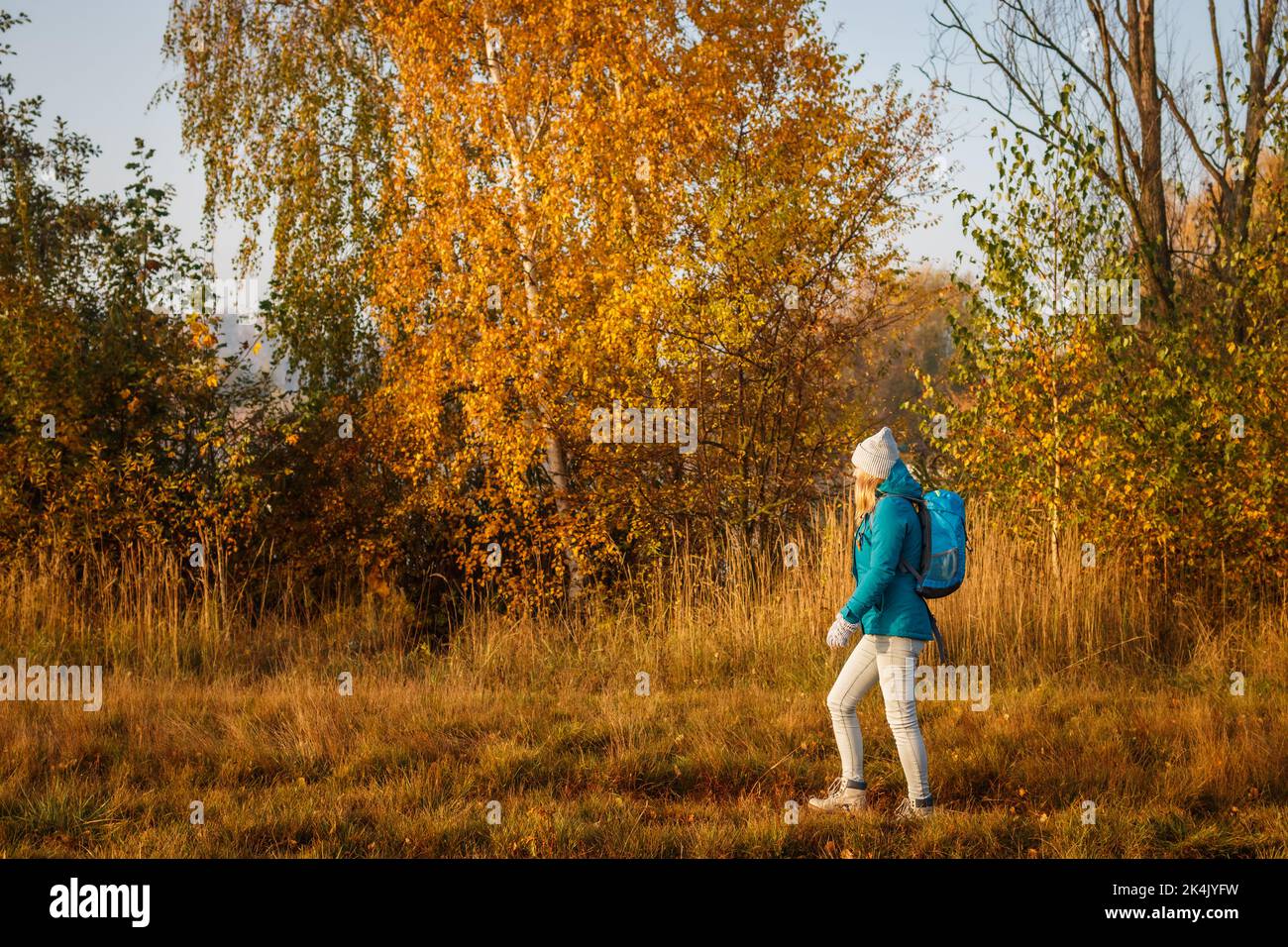 Promenades en forêt Banque de photographies et d’images à haute ...