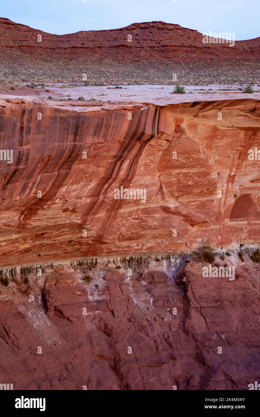 Dépôts minéraux vernis dans le désert sur le grès de la rive blanche d ...