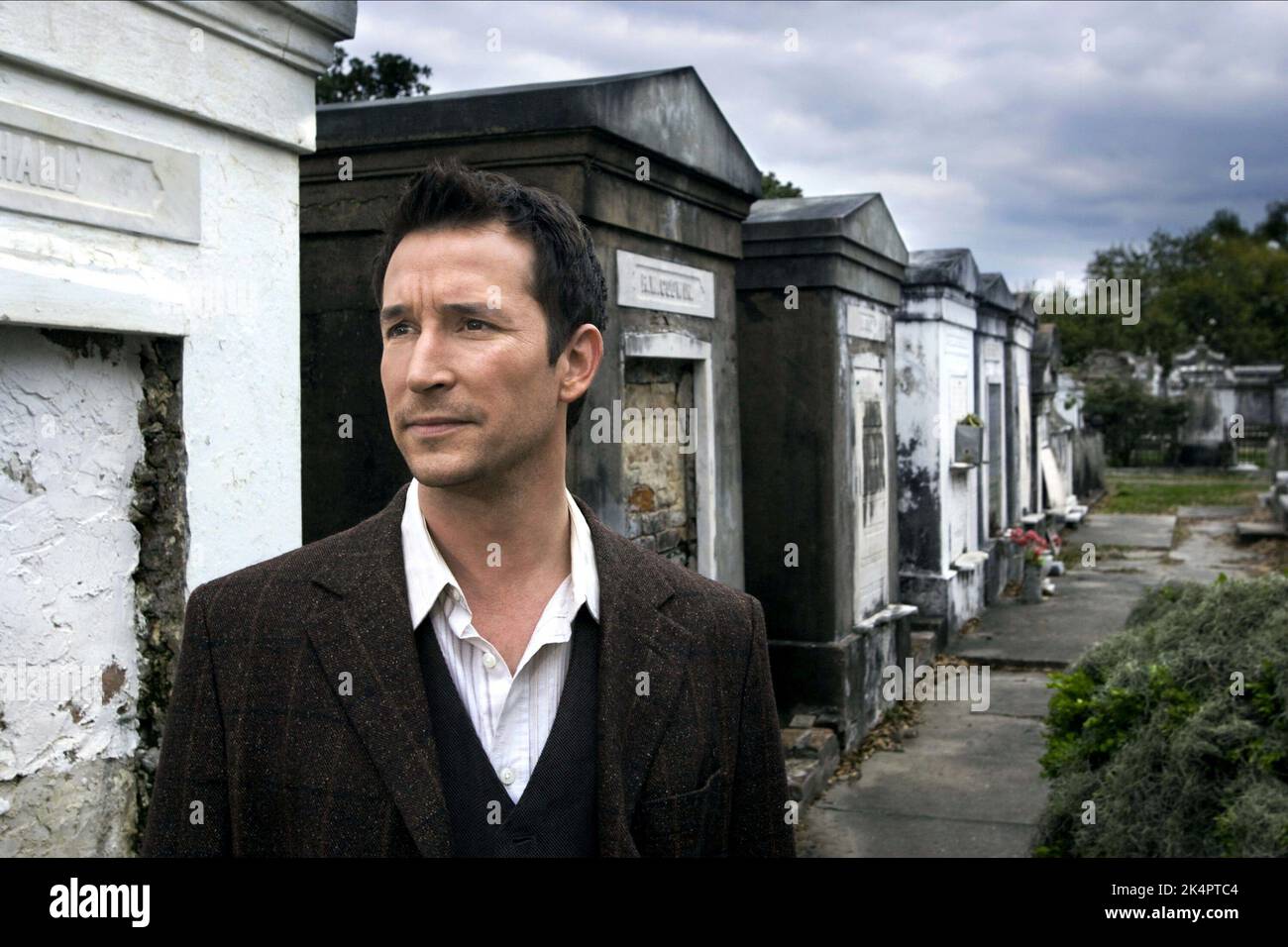 La malédiction du calice de judas Banque de photographies et d’images à ...