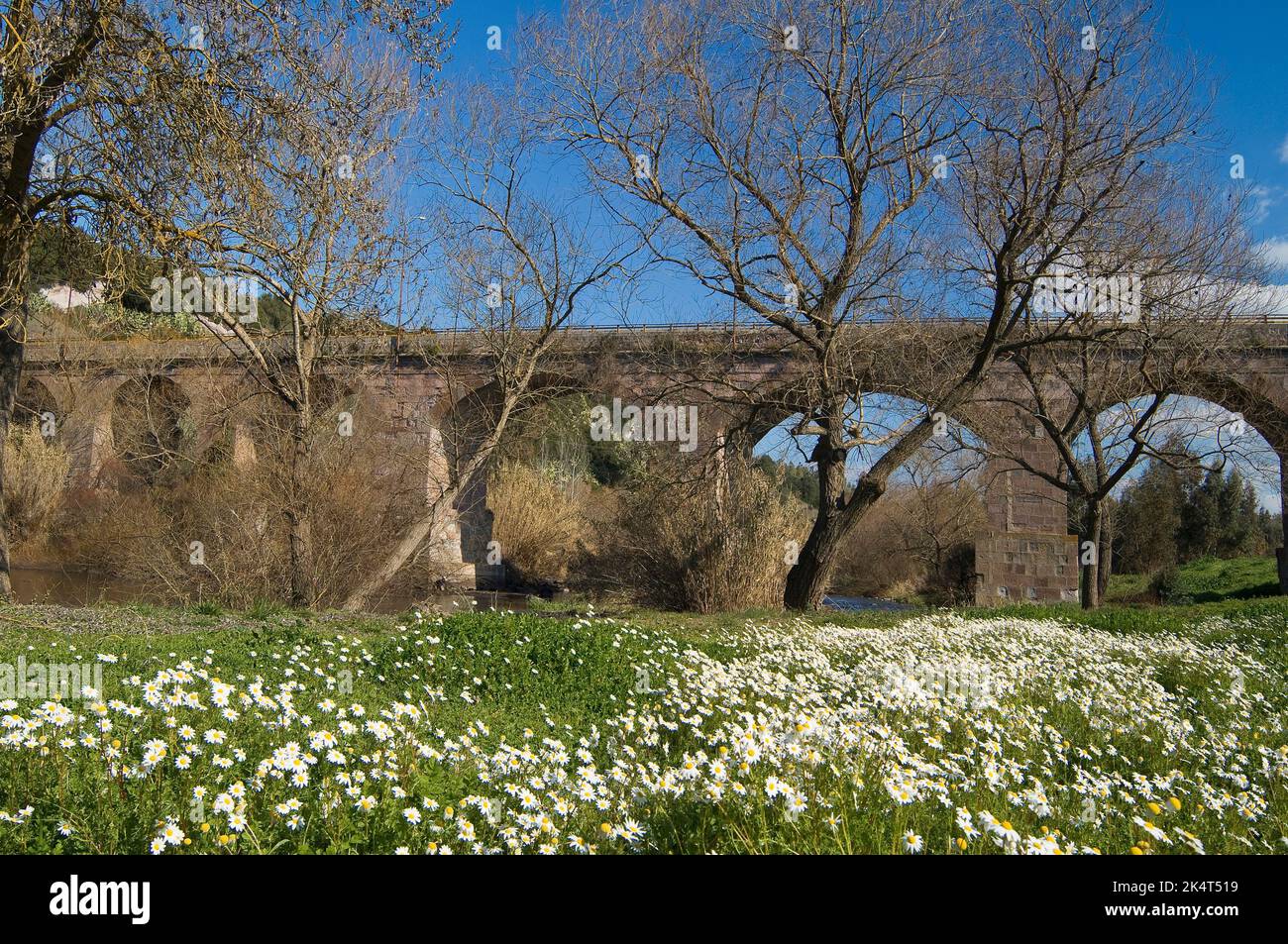 Tirso river Banque de photographies et d’images à haute résolution - Alamy