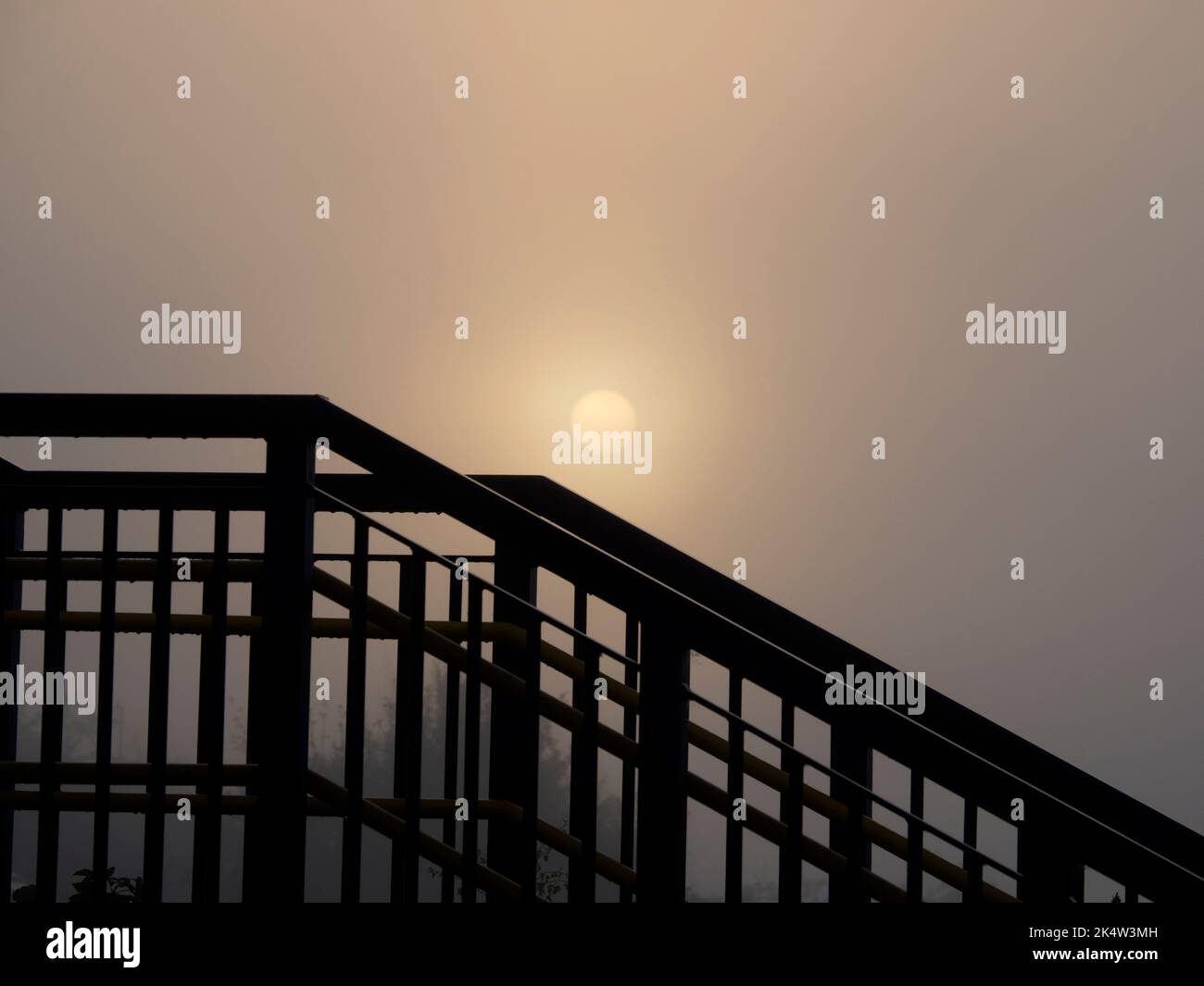 Même le banal peut être transformé par la beauté au bon moment et au ...