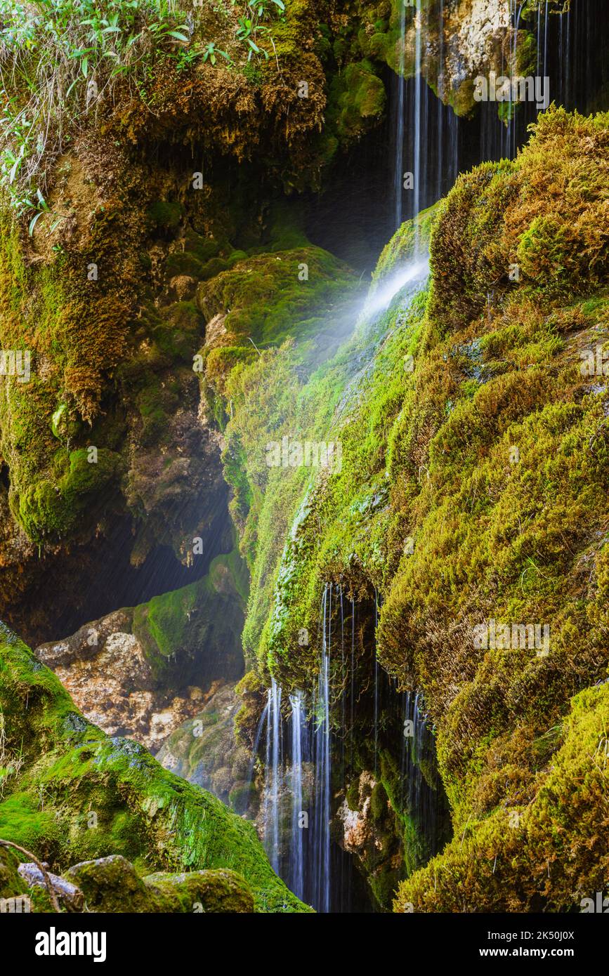 Source d'eau dans le karst rock, minuscule cascade idyllique dans un ...