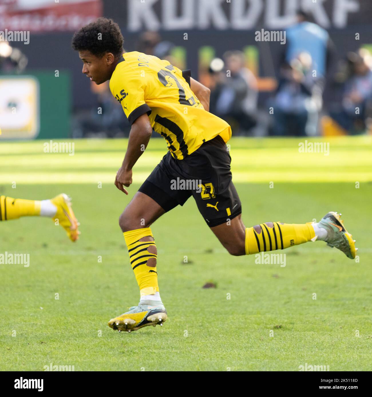 Karim Adeyemi (BVB) , Bundesliga Matchday 8, 1. FC Cologne contre ...
