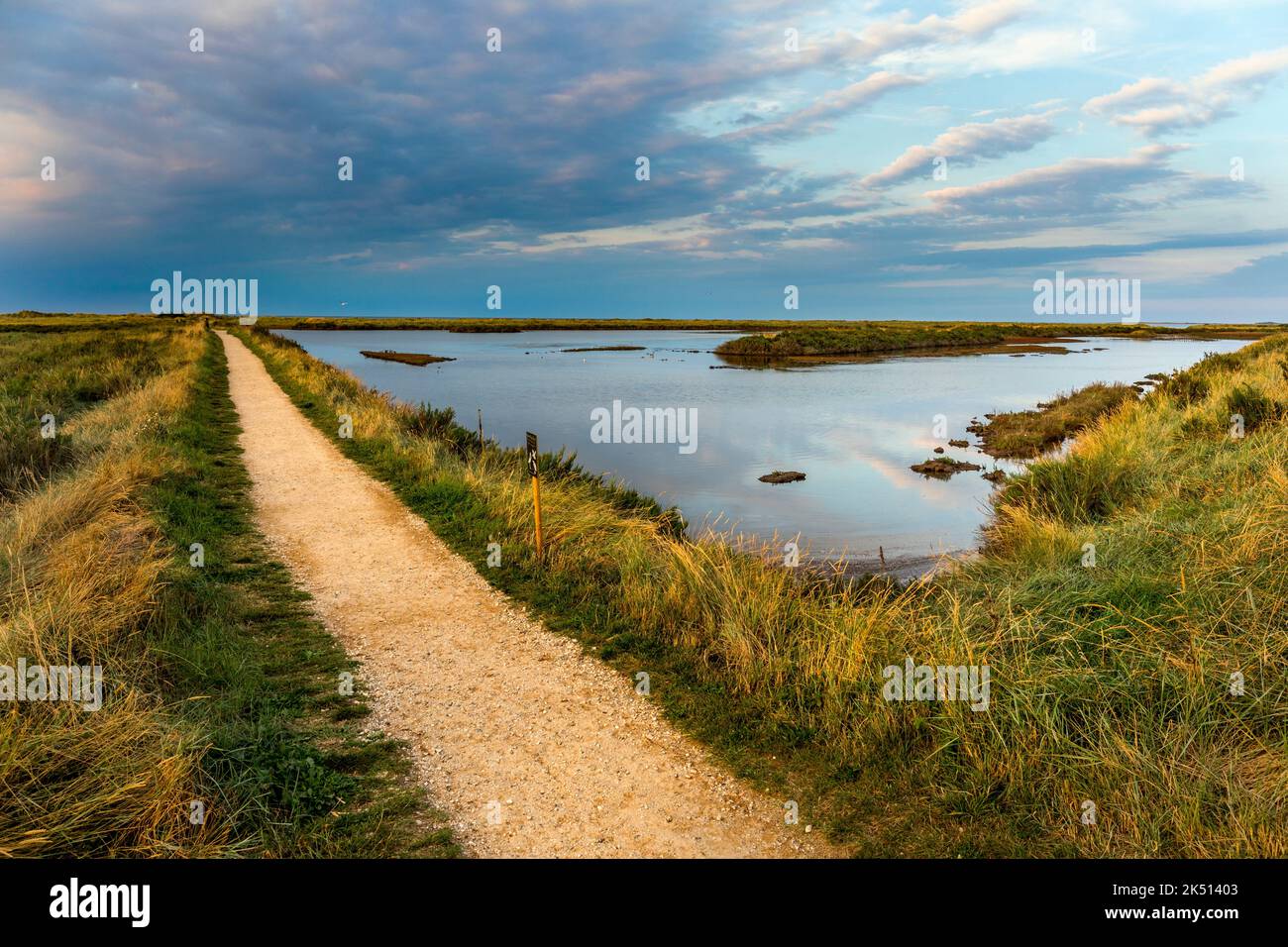 Titchwell marsh Banque de photographies et d’images à haute résolution ...