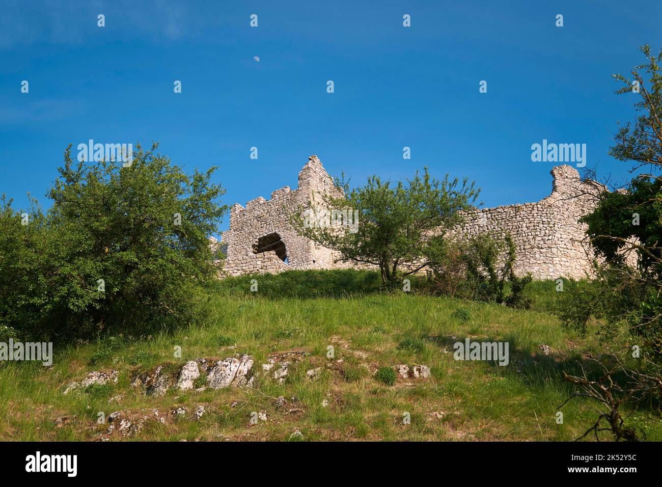 France, Ardèche, Vallée du Rhône, Saint Peray, le Château de Crussol ...