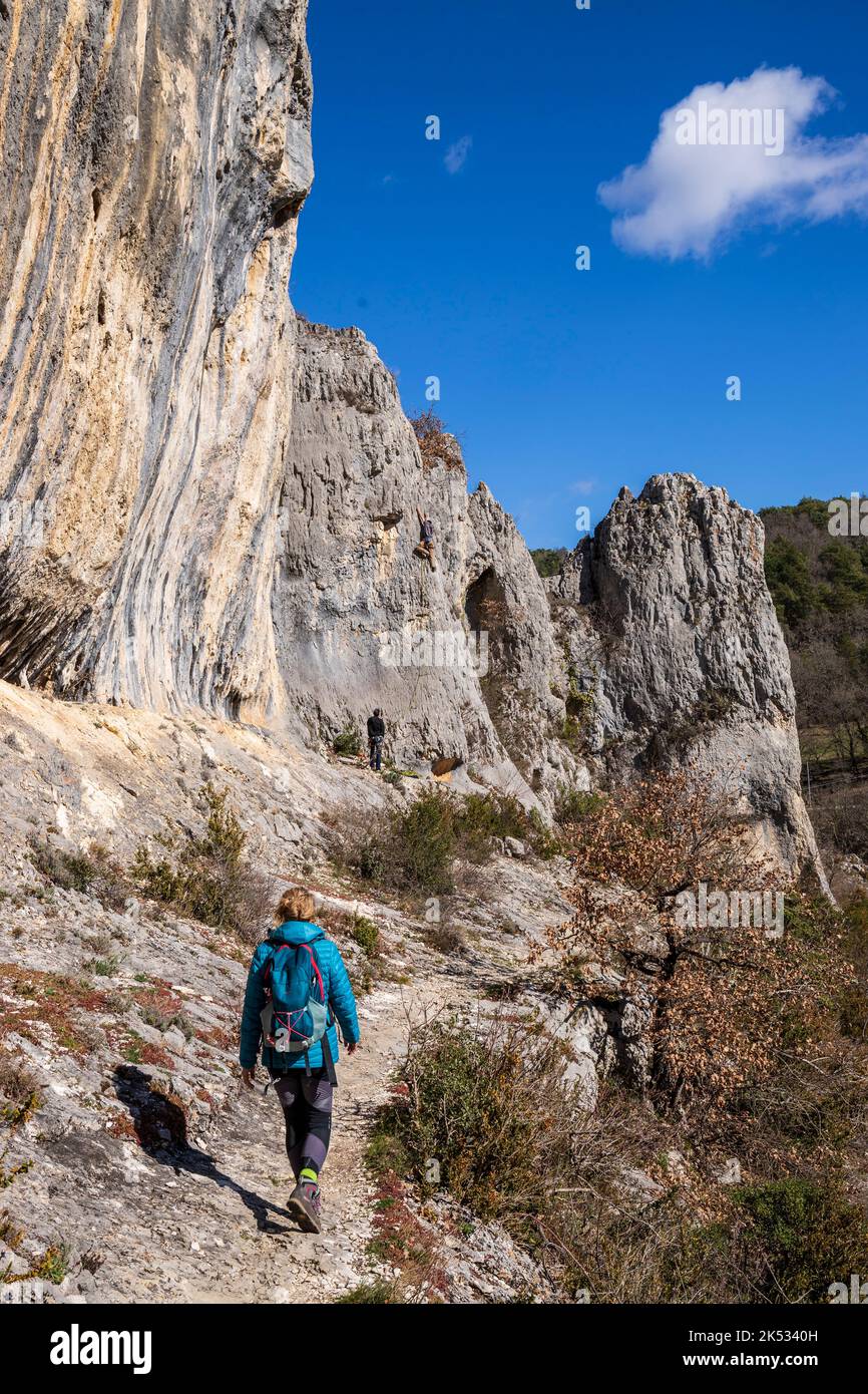 France, Alpes-de-haute-Provence, Parc naturel régional du Luberon ...