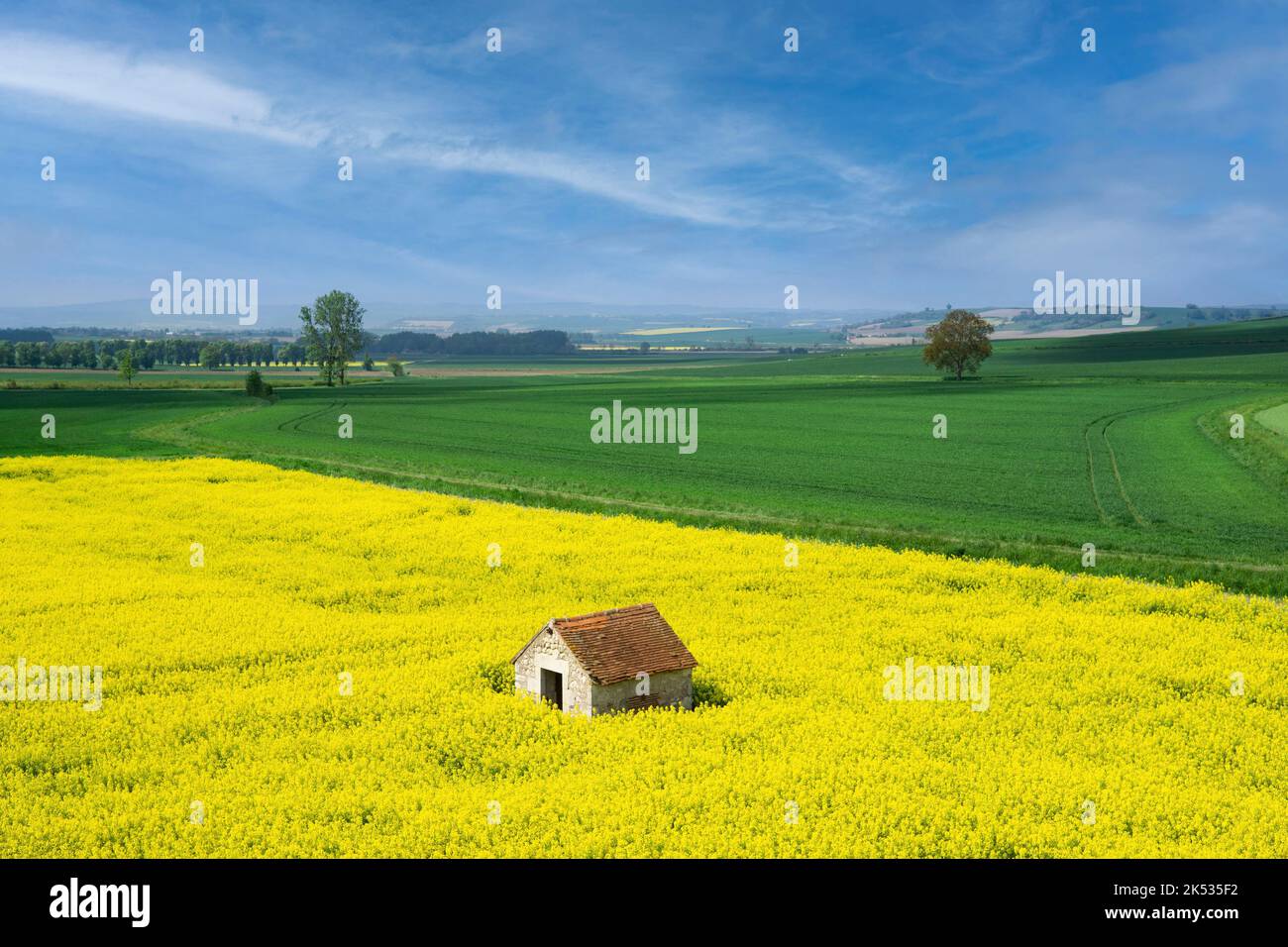France, Allier, Charroux, les plus beaux villages de France, buron dans ...