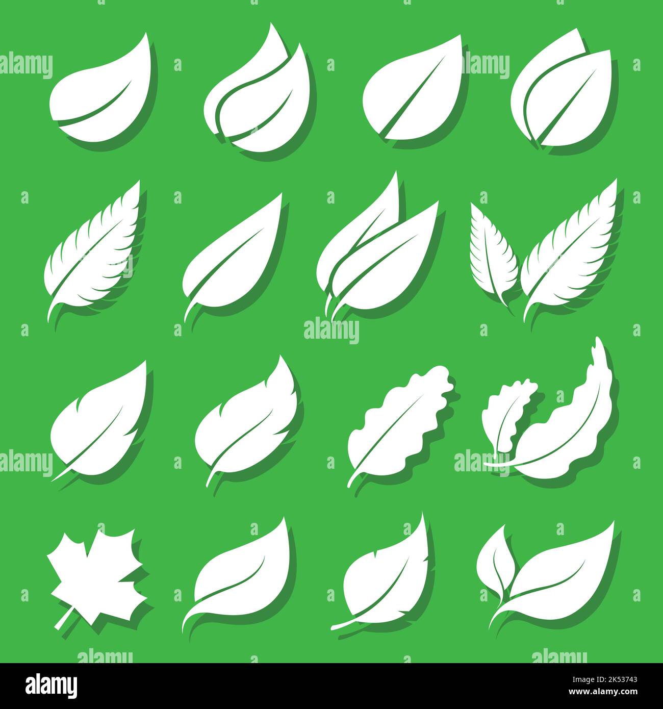 L'icône de feuilles vectorielles blanches est définie sur fond vert ...