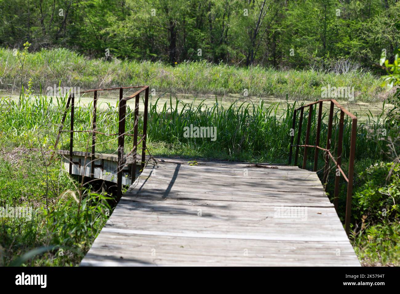 RÉSERVE NATURELLE NATIONALE DE BLACK BAYOU LAKE, MONROE, LOUISIANE ...