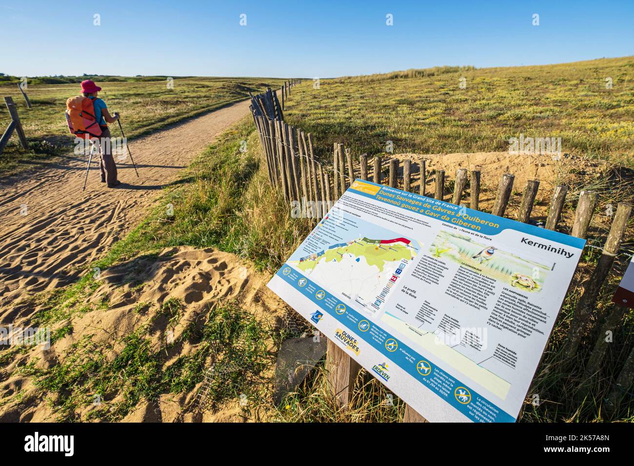 France, Morbihan, Erdeven, Grand site de France dunes sauvages de ...