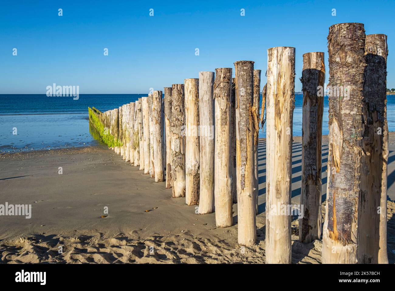 France, Morbihan, Gavres, la Grande plage, le Grand site de France ...