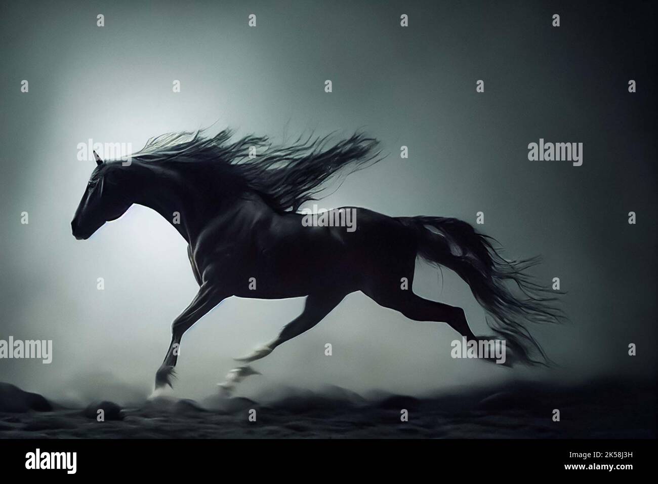 Cheval noir sauvage Banque de photographies et d’images à haute ...