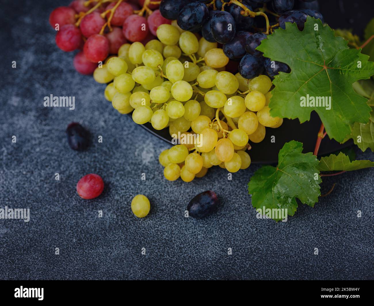 French wine harvest still life Banque de photographies et d’images à ...
