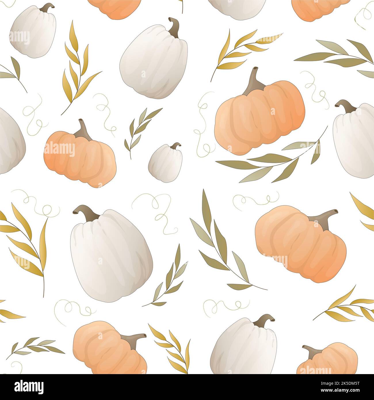 Groupe de citrouilles de différentes formes et couleurs décorées de ...