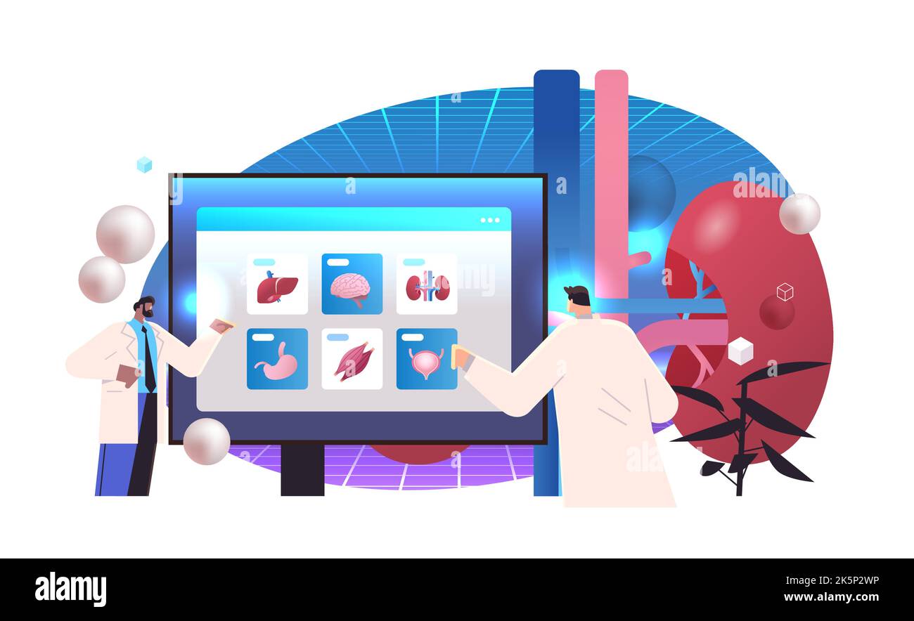 Anatomie homme organes internes Banque d'images vectorielles - Page 2 ...