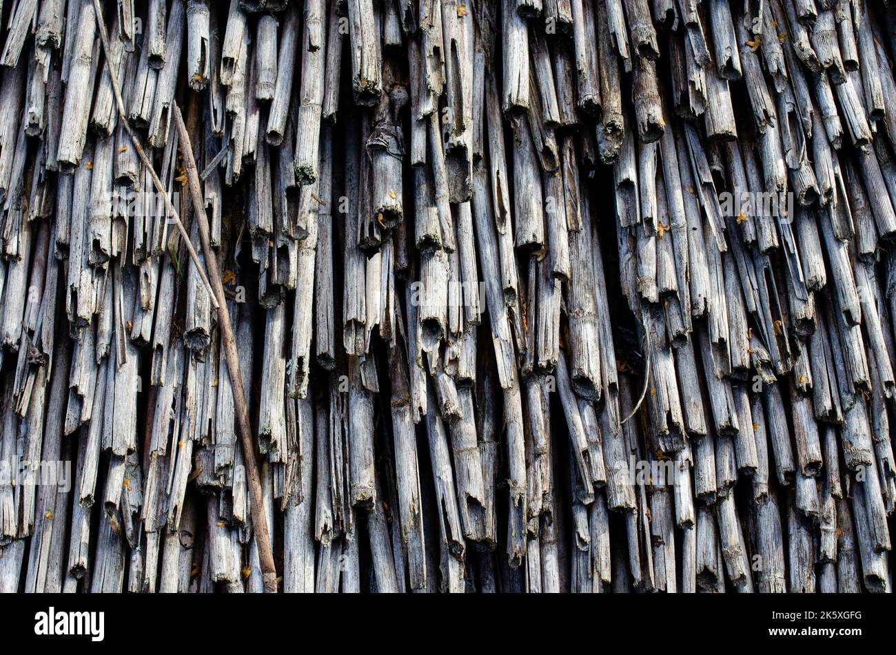 La texture de toit de chaume d'une vieille maison la paille ancienne s ...