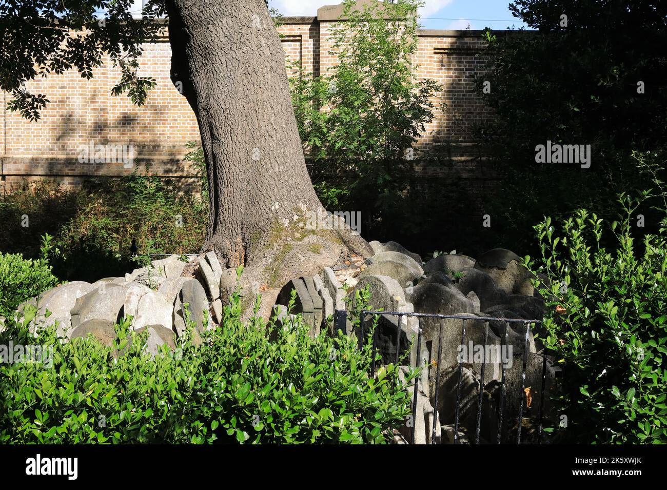 Thomas Hardy, mieux connu comme un écrivain mais aussi étudié pour être ...