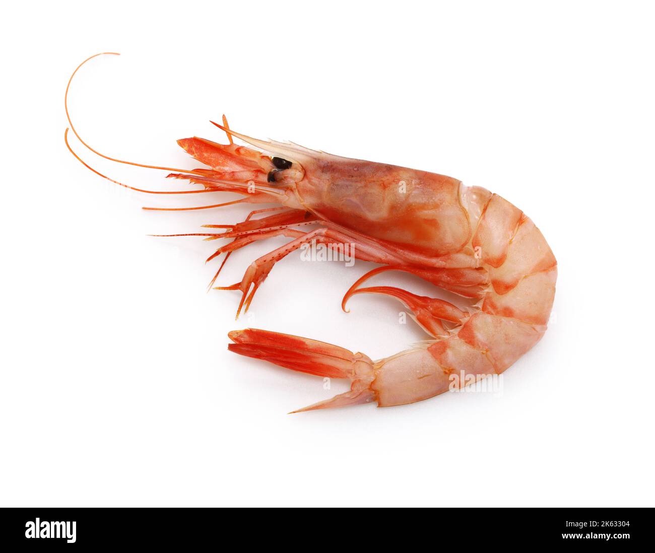 Grosse crevette rouge Banque de photographies et d’images à haute ...