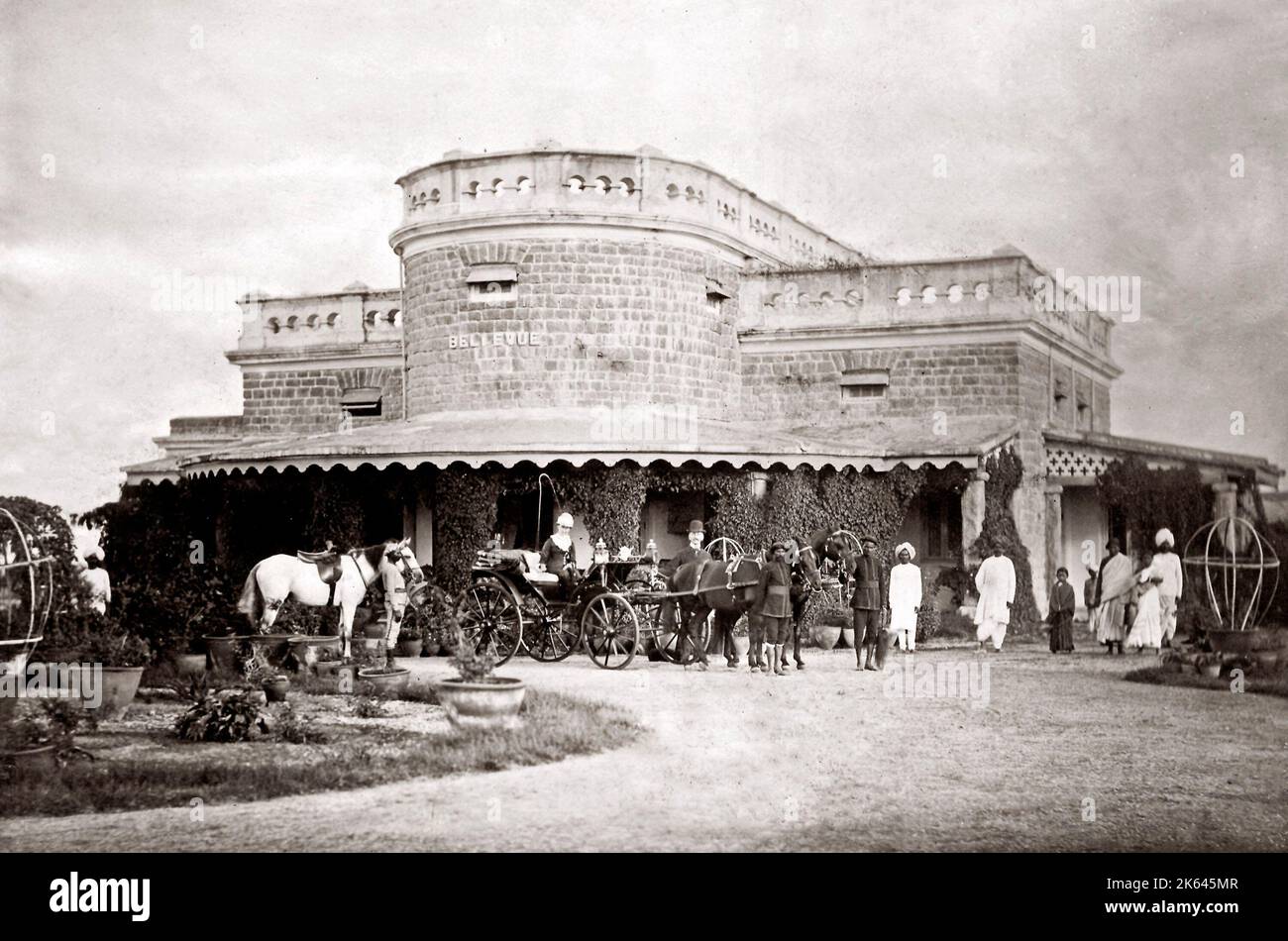 Inde cheval indien Banque de photographies et d’images à haute ...