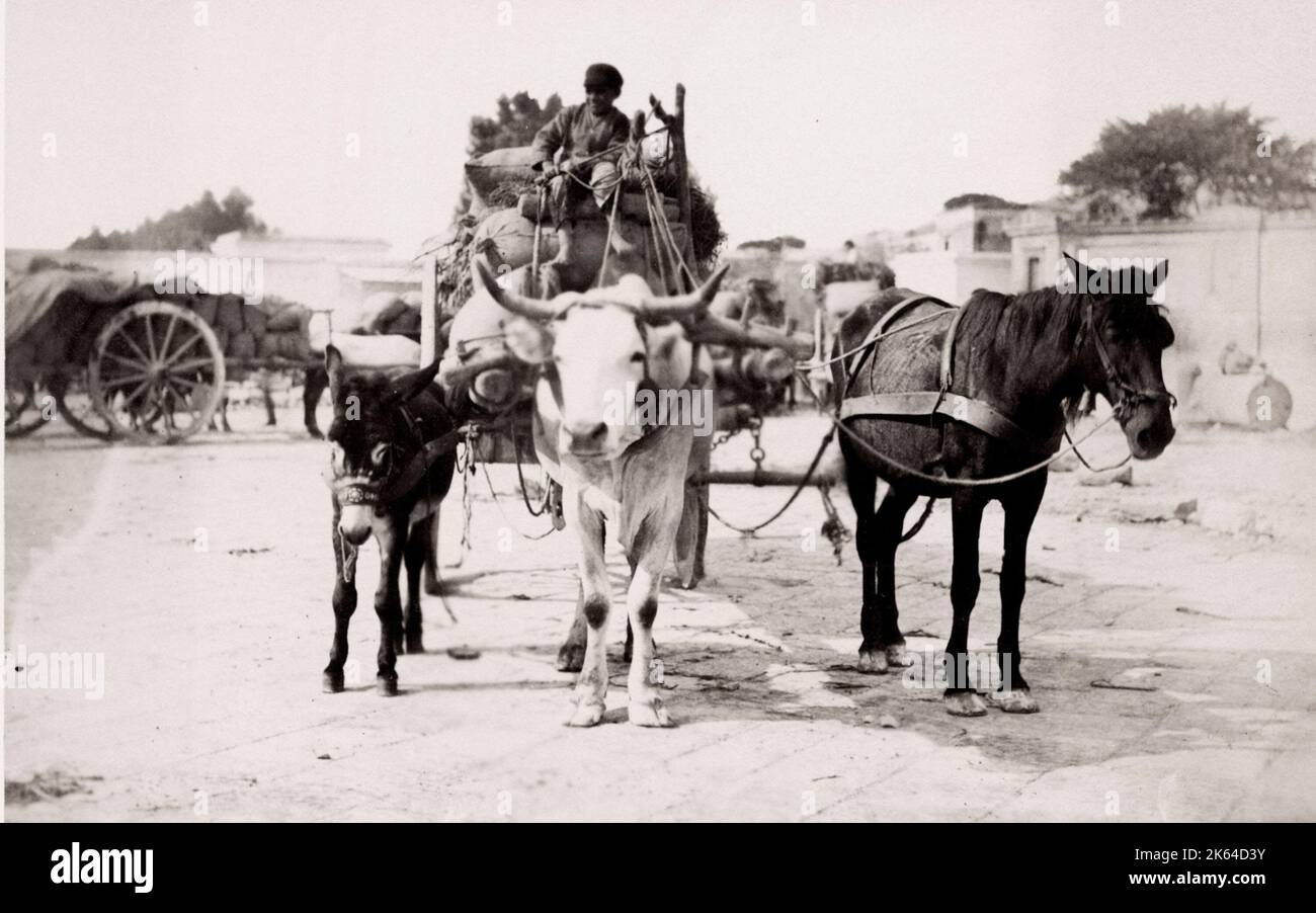 Photographie vintage du XIXe siècle: Chariot lourd avec des sacs, étant ...