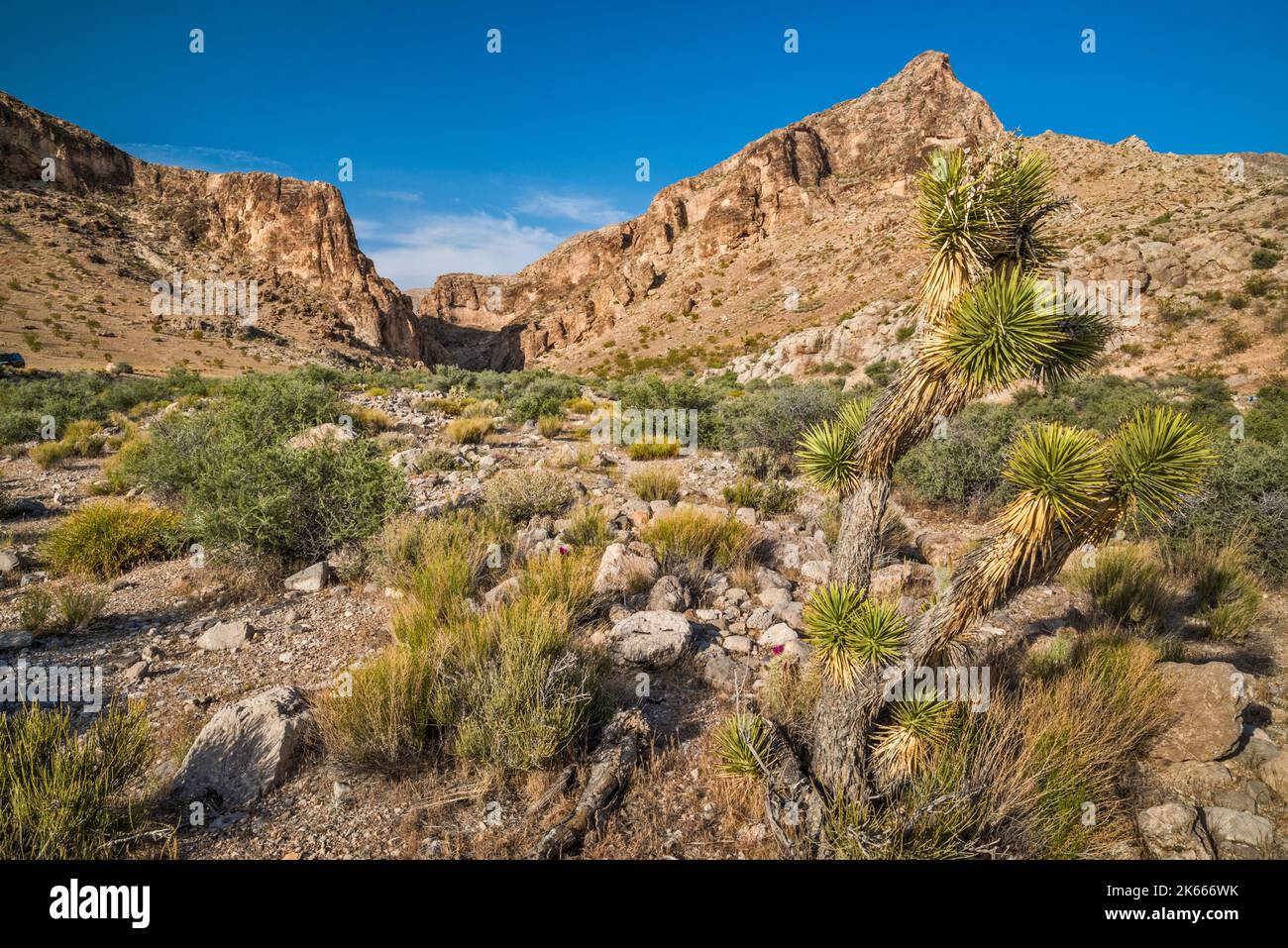 Grandes gammes de bassin Banque de photographies et d’images à haute ...