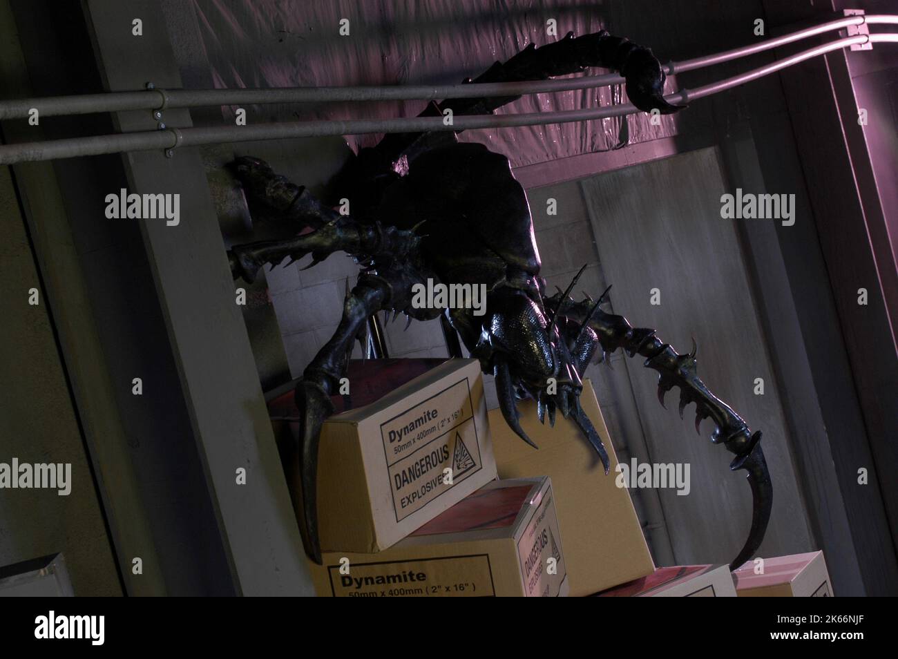 Giant scorpion Banque de photographies et d’images à haute résolution - Alamy