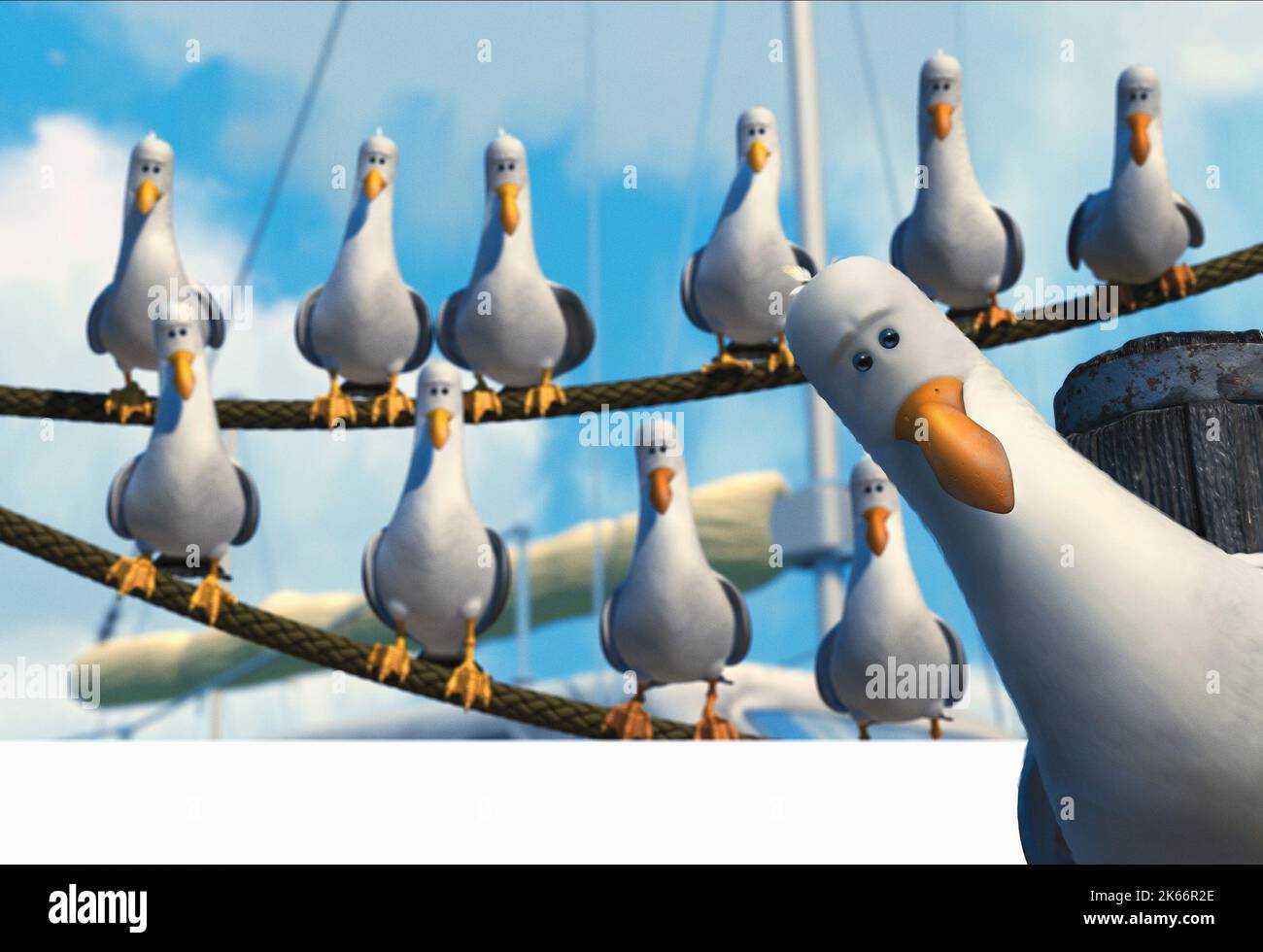 Finding nemo Banque de photographies et d’images à haute résolution - Alamy