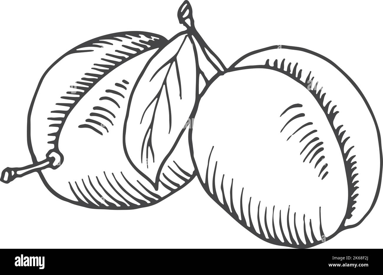 Jardin de fruits doux Banque d'images noir et blanc - Alamy