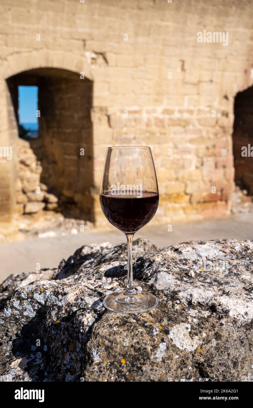 Visite des vins avec dégustation de vin sec rouge et ruines du château ...