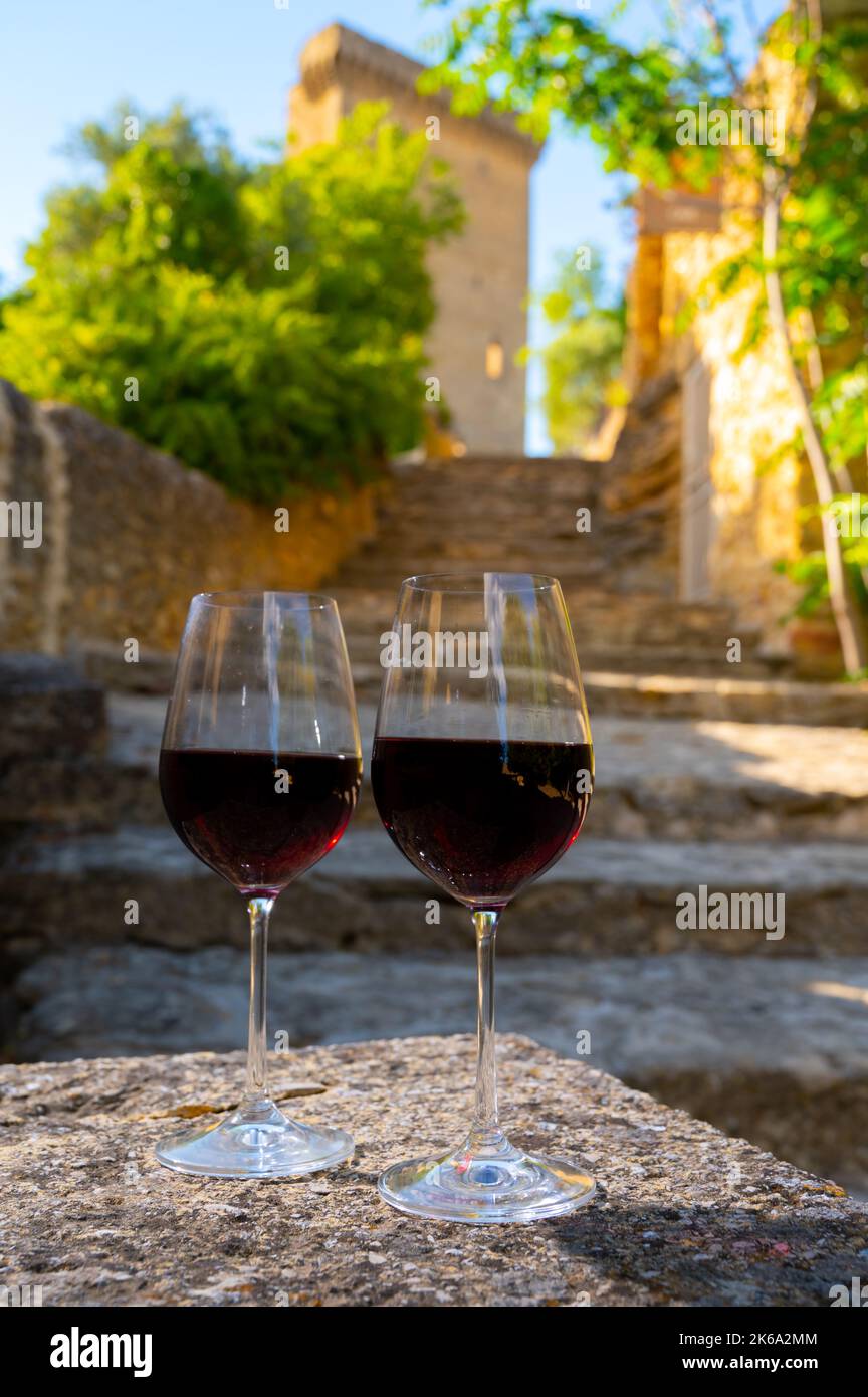 Visite des vins avec dégustation de vin sec rouge et ruines du château ...