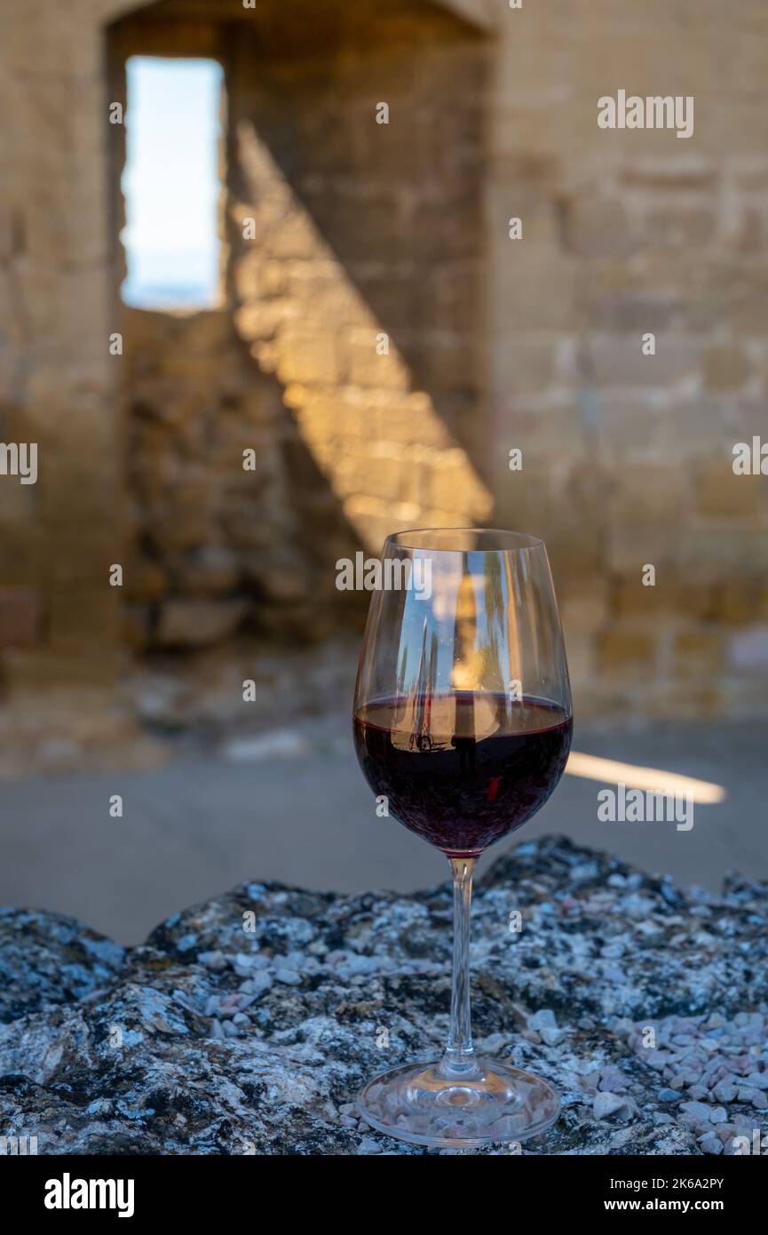Visite des vins avec dégustation de vin sec rouge et ruines du château ...