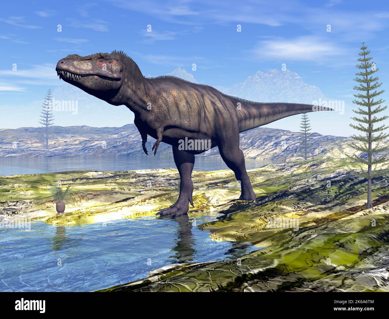 Side view tyrannosaurus rex dinosaur Banque de photographies et d’images à haute résolution - Alamy