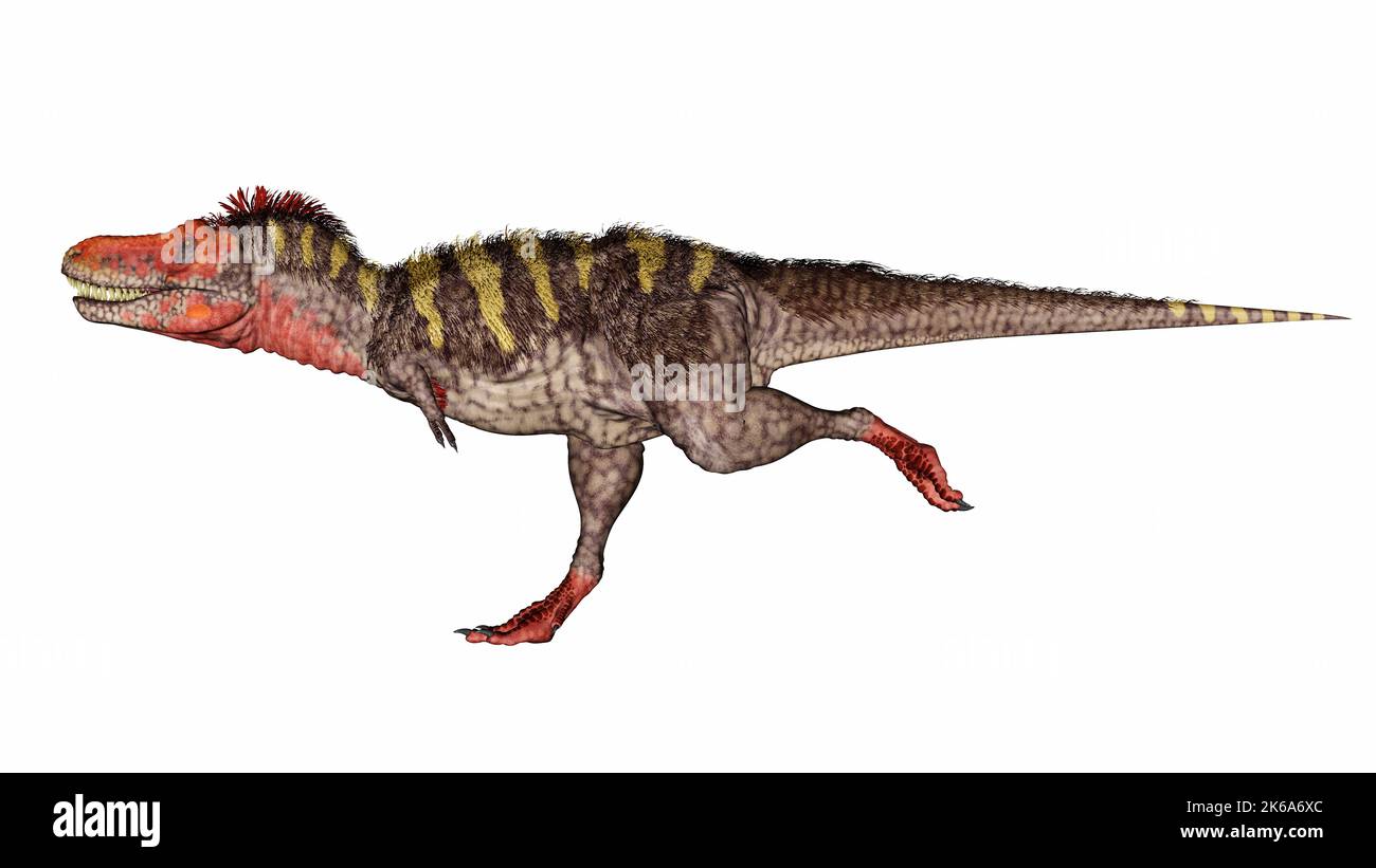 Tarbosaurus illustration Banque de photographies et d’images à haute ...