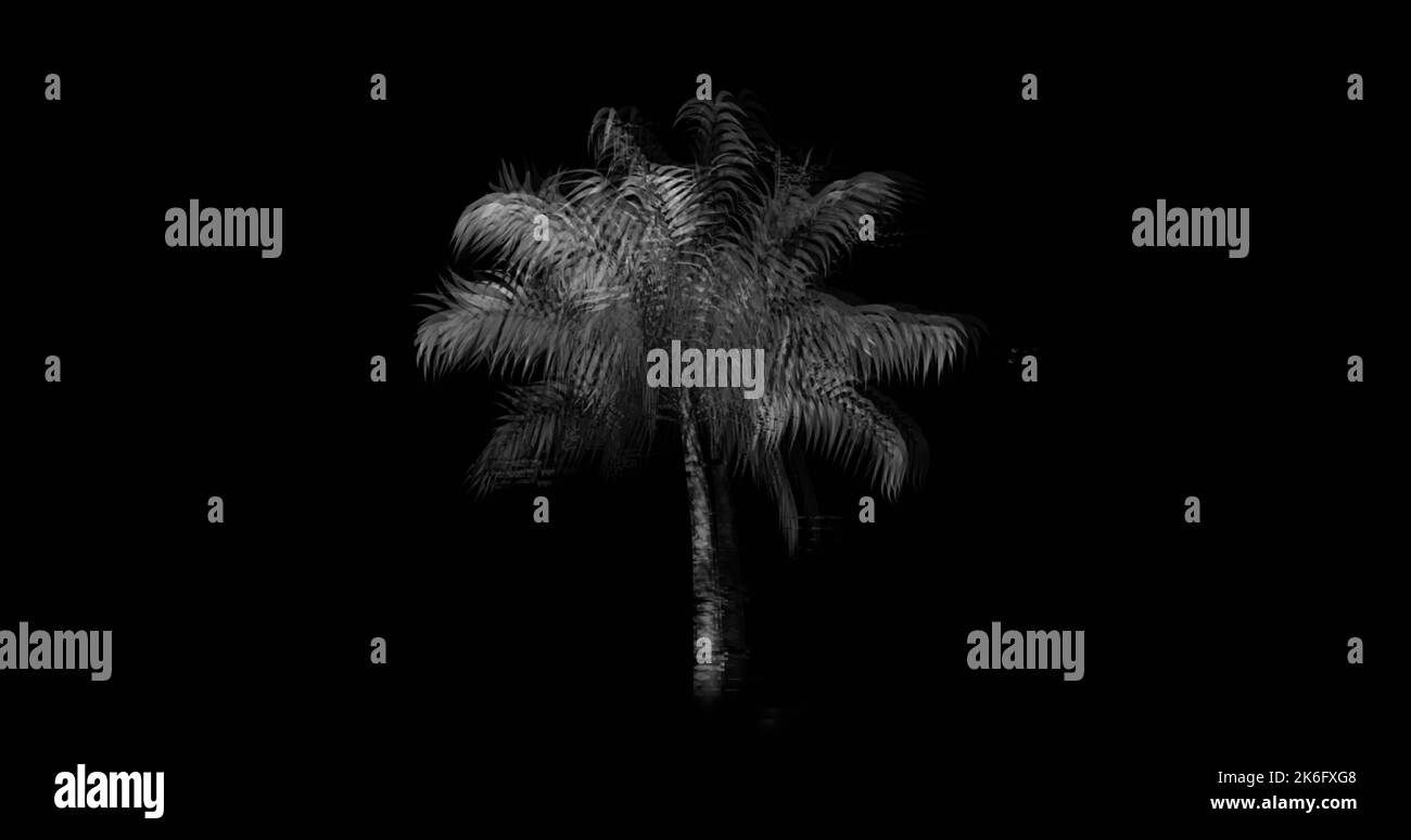 árbol de ilustración vectorial Banque d'images noir et blanc - Alamy