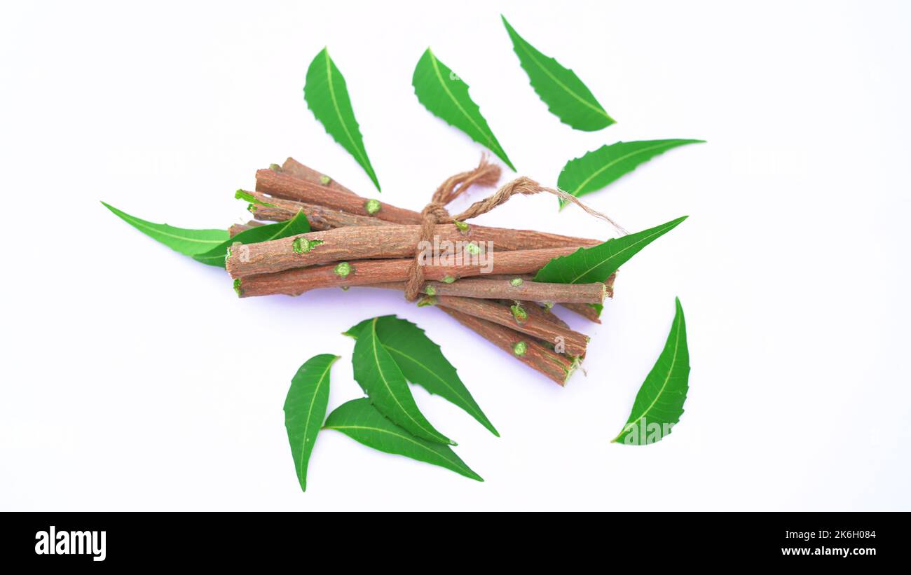Neem fruit avec des bâtons de neem et une feuille de neem isolée sur ...