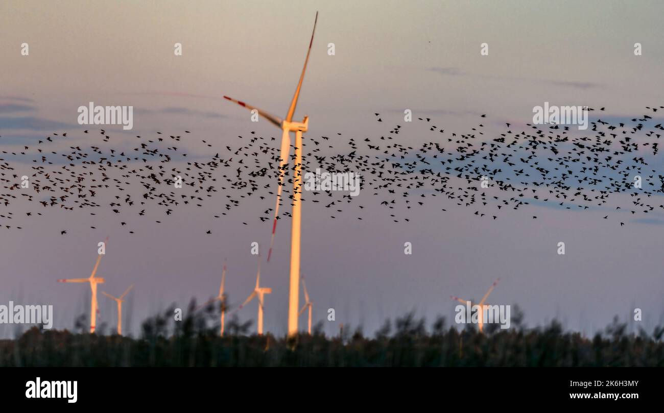 Hasberg sjo Banque de photographies et d’images à haute résolution - Alamy