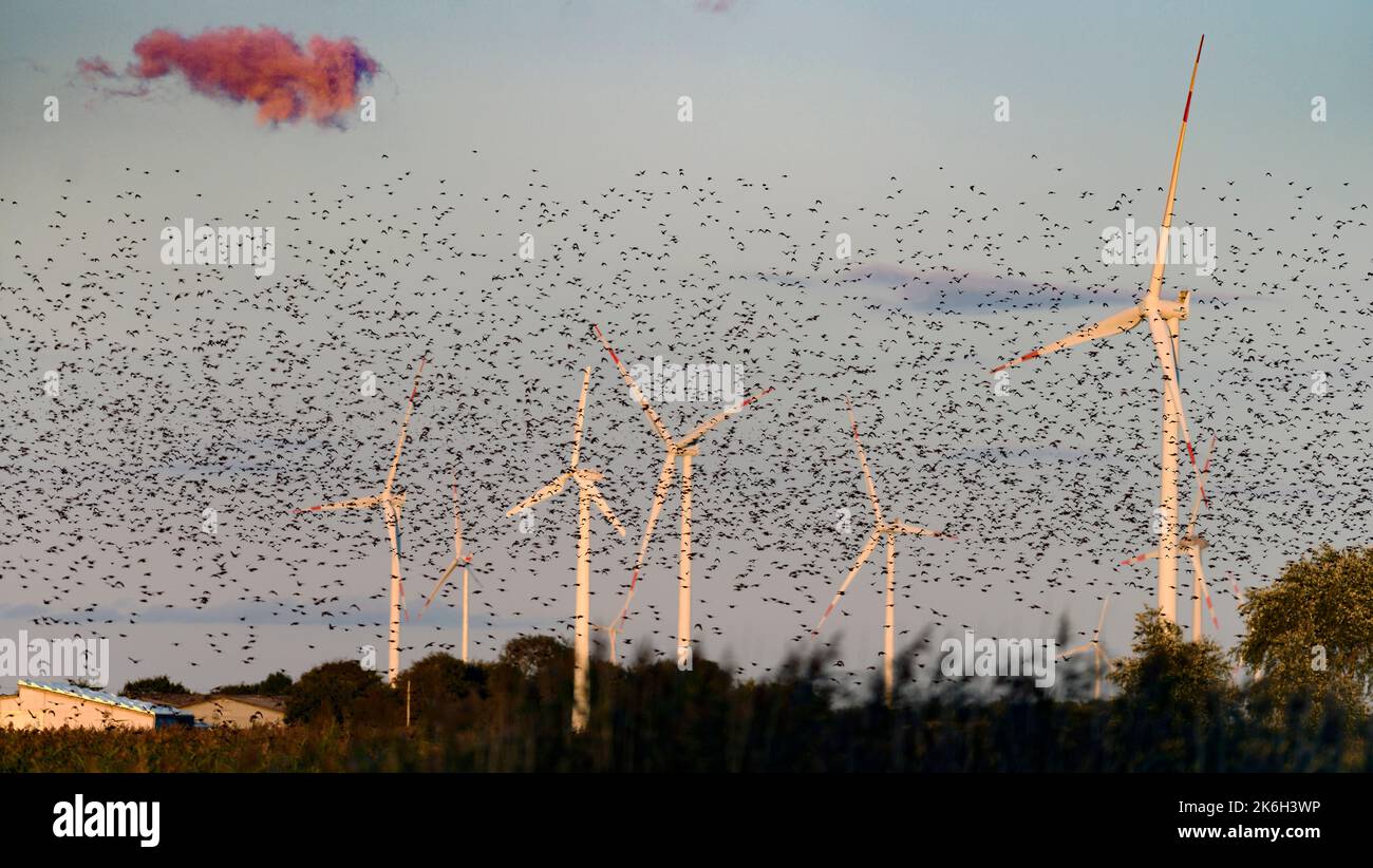 Hasberg sjo Banque de photographies et d’images à haute résolution - Alamy