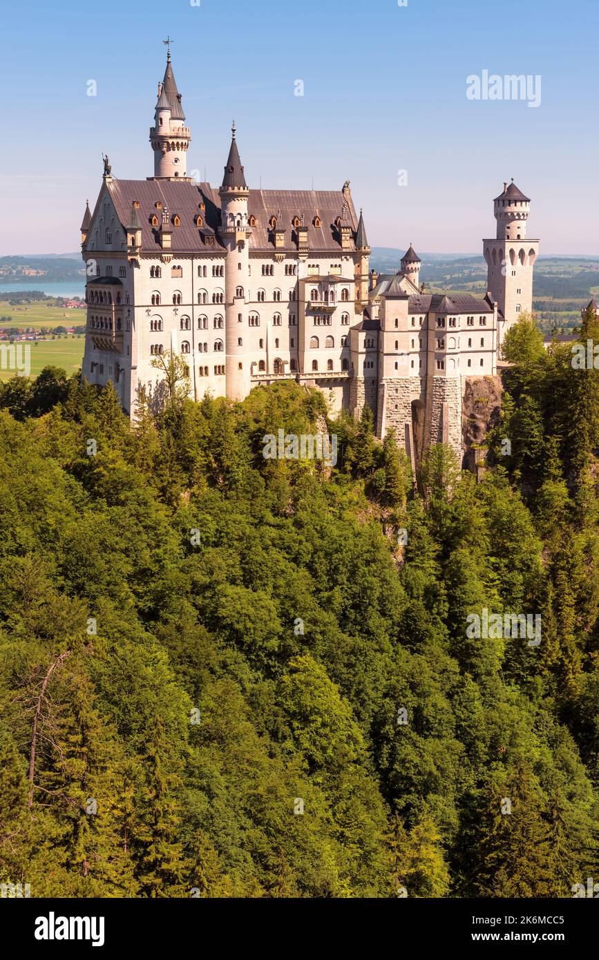 Château de Neuschwanstein en forêt, Allemagne. Vue verticale de l ...