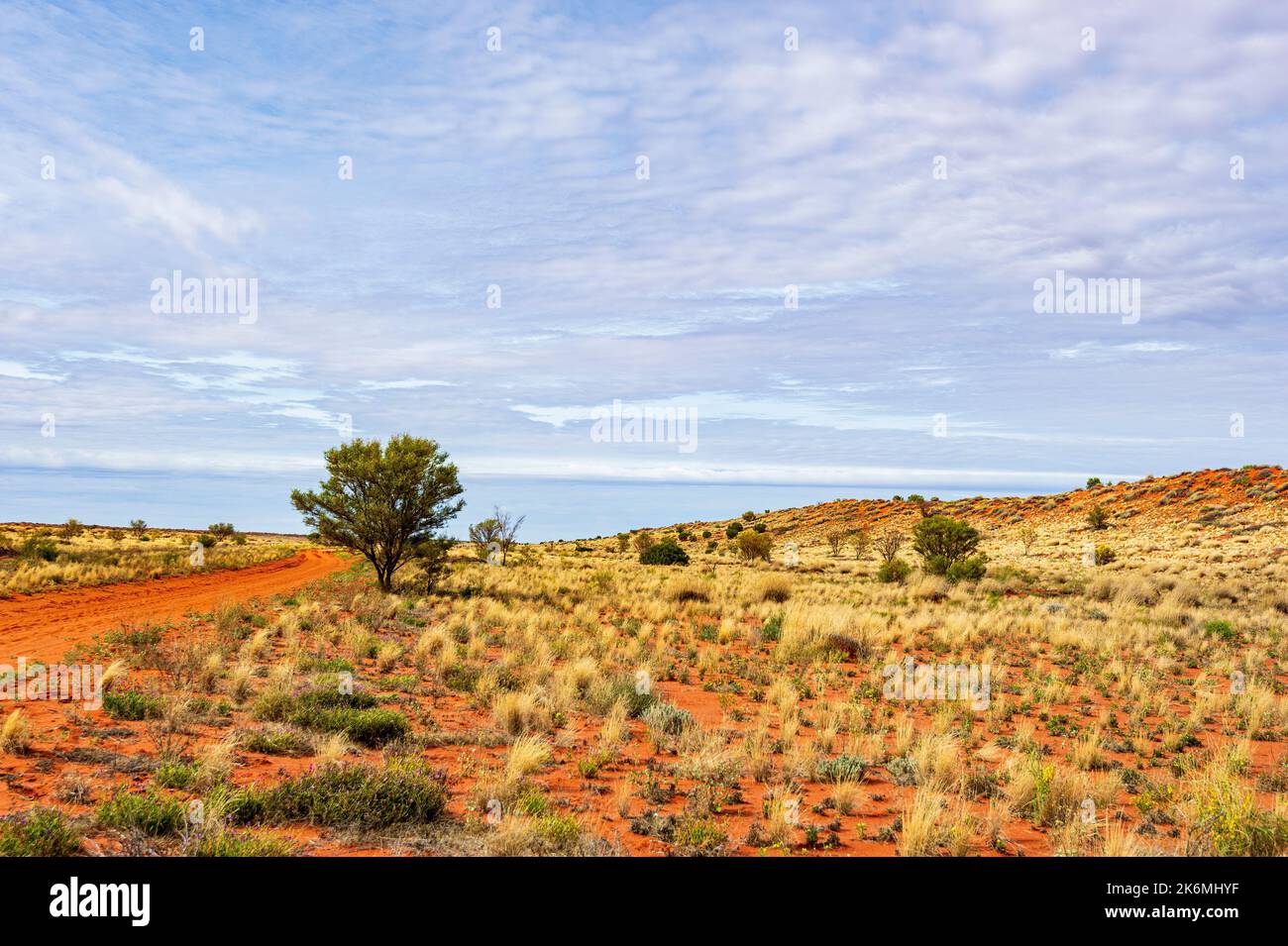 Simpson desert australia Banque de photographies et d’images à haute ...