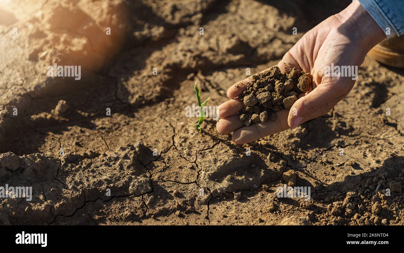 L'été, vous vous familiariseravec un sol sale et sec. L'agriculteur ...