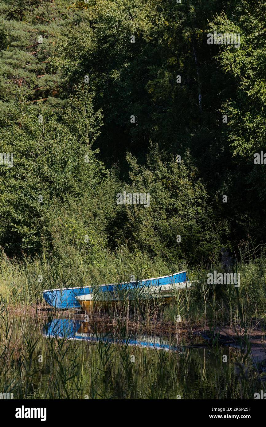 Deux bateaux à rames sur une plage de sable au milieu des roseaux dans ...