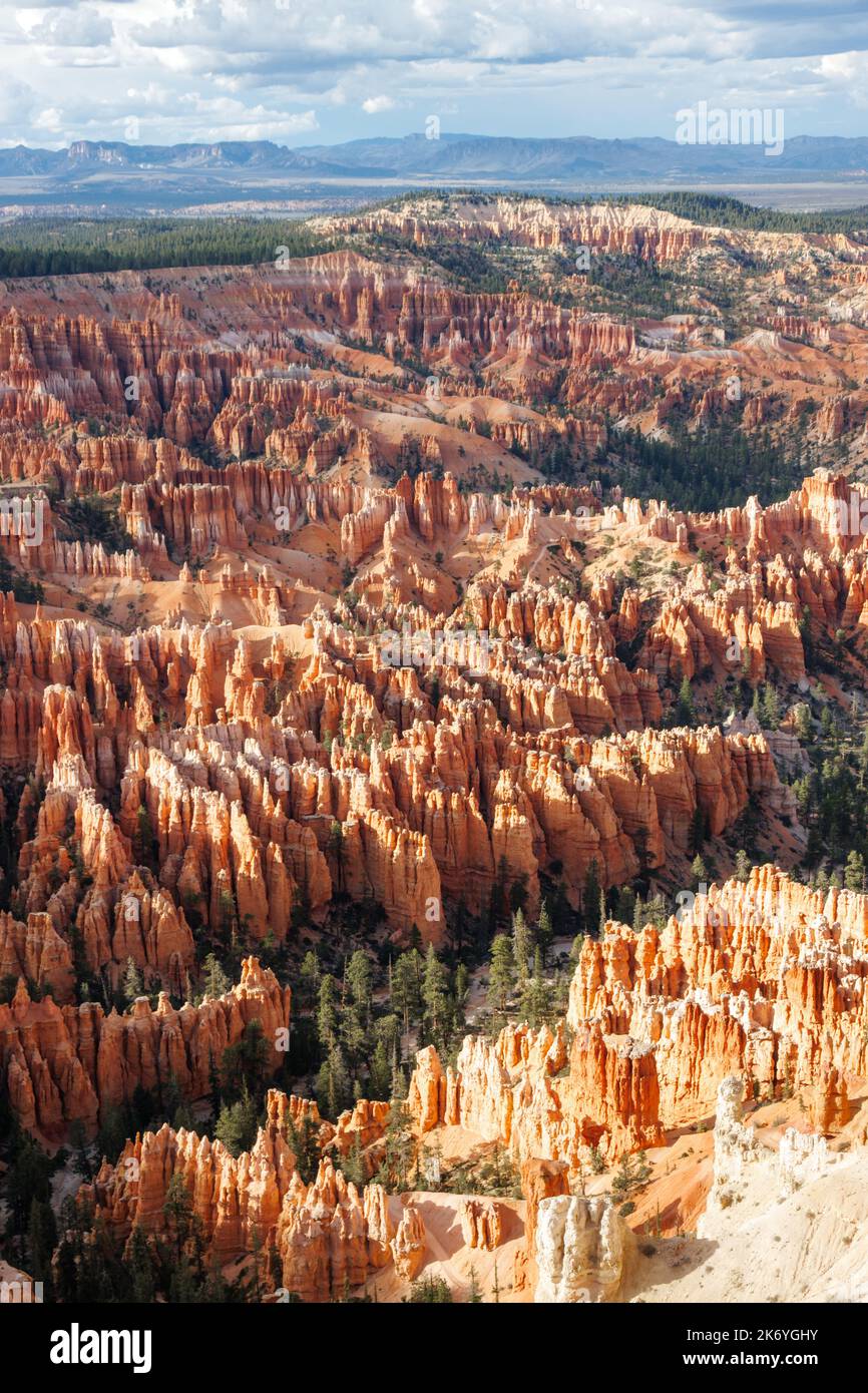 Bryce Canyon - roches piquantes rouges dans le canyon de Bryce dans l ...